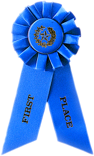 Download First Place Rosette - Blue Ribbon - Full Size PNG Image - PNGkit