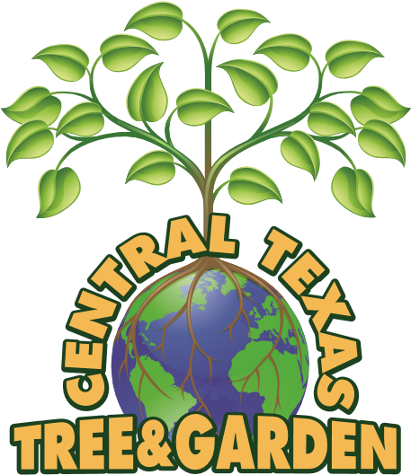 Download Central Texas Tree And Garden - Globe With Tree - Full Size ...