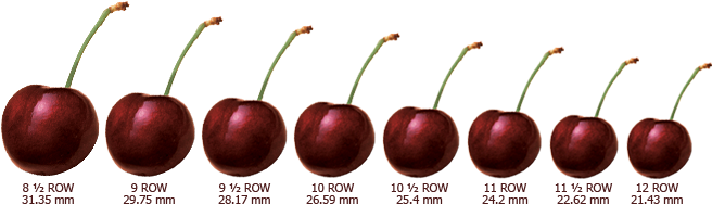 Download Cherrysizingchart - Size Of A Cherry - Full Size PNG Image ...