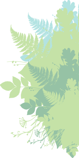 Download Download Environmental Science Background Clipart ...