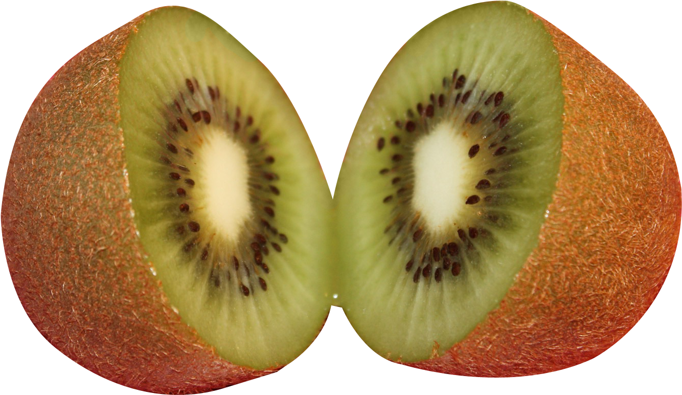 Download Kiwifruit Png Image - Kiwifruit - Full Size PNG Image - PNGkit