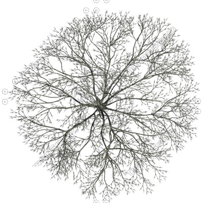 Download Transparent Tree Tops Collection - Black Top Tree Png - PNGkit