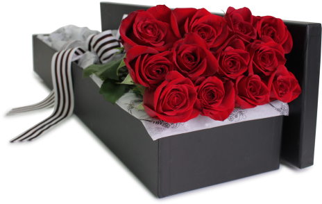 Download Boxed Red Roses 12 Stem - Garden Roses - Full Size PNG Image ...