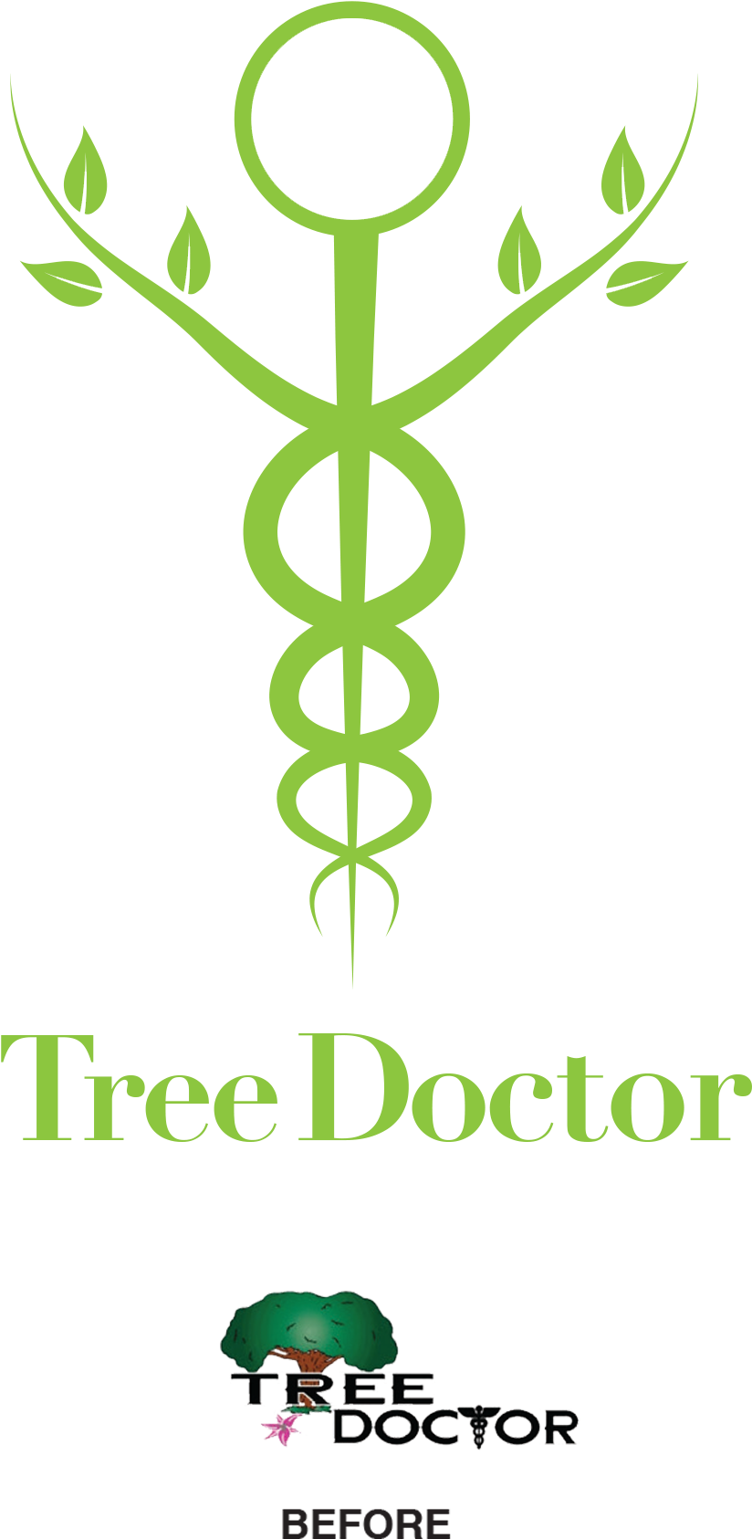 Download Tree Doctor Wall Clock - Full Size PNG Image - PNGkit