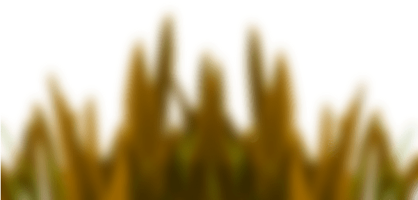 Download New Editing Png Download - Png File For Photoshop - Full Size ...