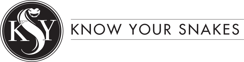 Download Dr - Evil - Line Art - Full Size PNG Image - PNGkit