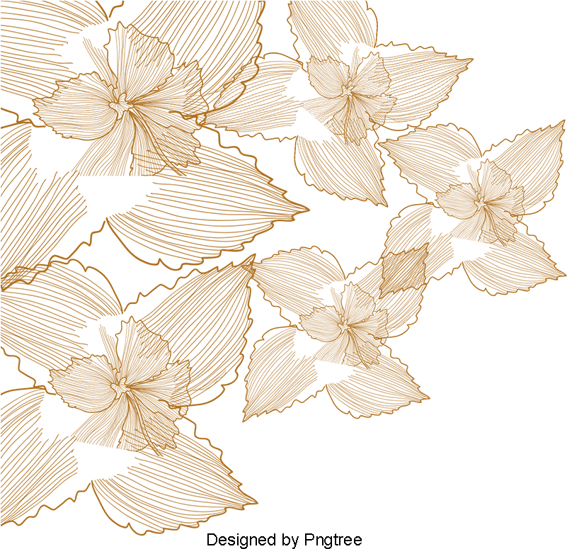 Download Pattern Background Vector Pattern, Creative Pattern, - Vector ...