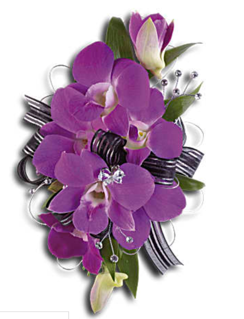 Download More Views - T201 5a - Full Size PNG Image - PNGkit