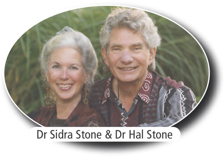 Download Hal Stone Sidra Stone - Full Size PNG Image - PNGkit