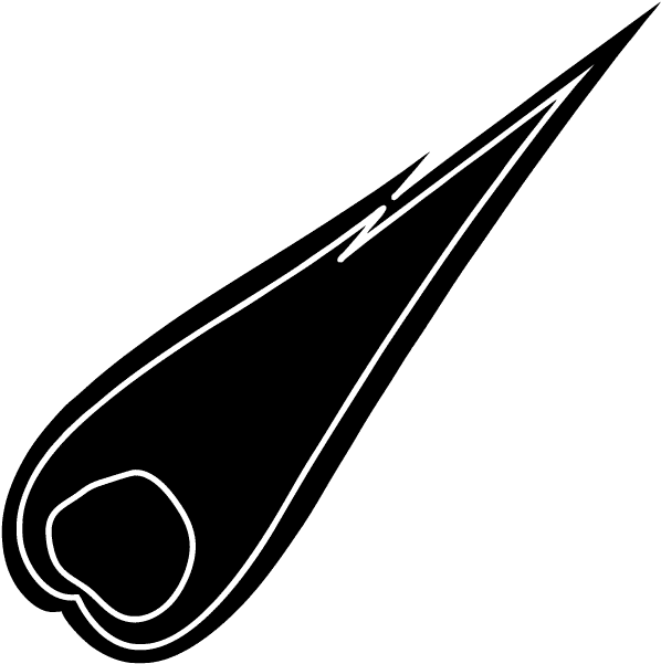 Download Transparent Meteor - Illustration - PNGkit