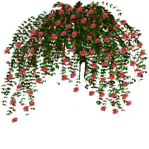 Download Alpha Tree Lv - Tree - Full Size PNG Image - PNGkit