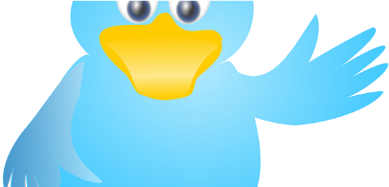 Download How Not To Look Like A Twit On Twitter - Moving Animations ...