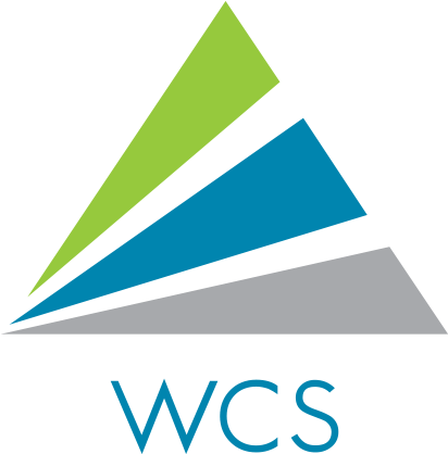 Download Wcs Wholesale Carrier Services Logo - Wholesale Carrier ...