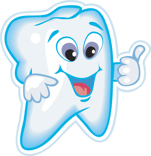 Download Tooth - Healthy Tooth - Full Size PNG Image - PNGkit