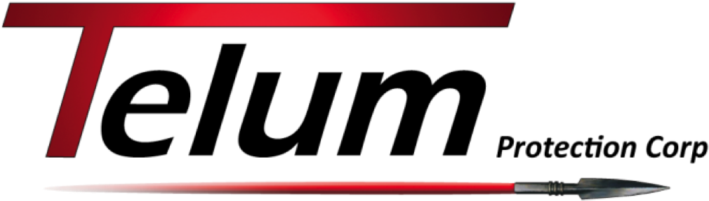 Download Telum Is A Center For Veteran Enterprise Sdvosb, Vosb, - K2 ...