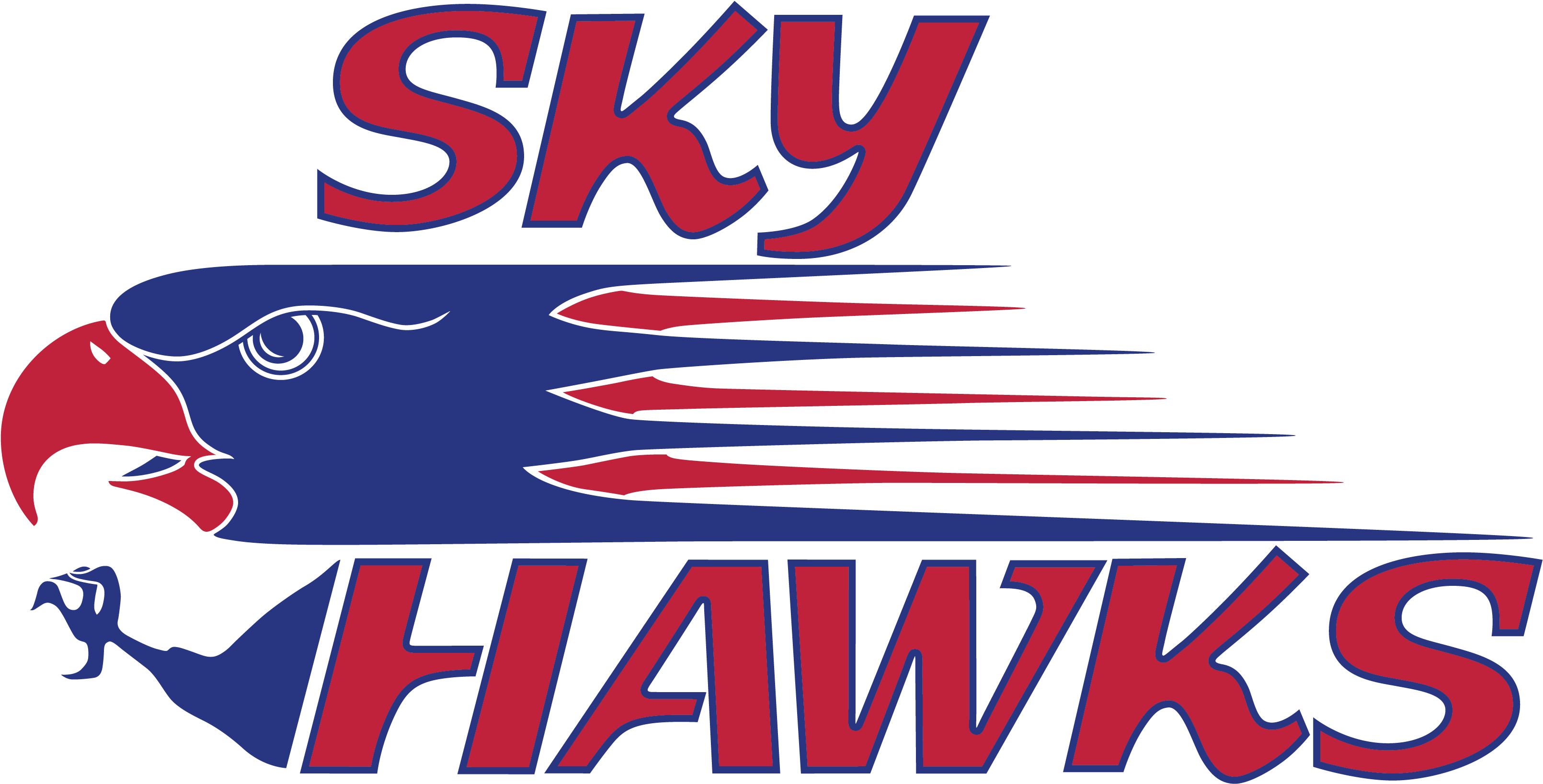 Download Sky Hawks Logo - Skyridge Middle School Logo - Full Size PNG ...