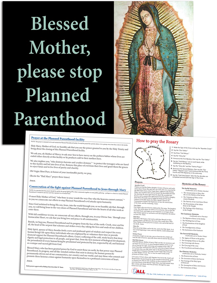 Download Our Lady Of Guadalupe, Stop Planned Parenthood Sign - Basilica ...