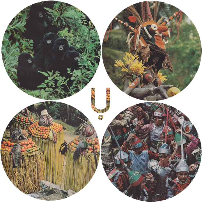 Download Nz Money - Full Size PNG Image - PNGkit