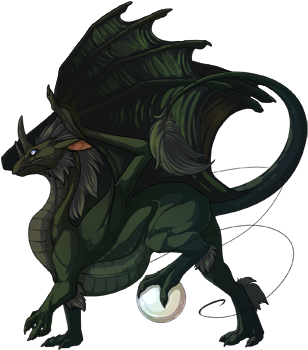 Download 15310160 350 - Voltron As Dragons Paladins - Full Size PNG ...