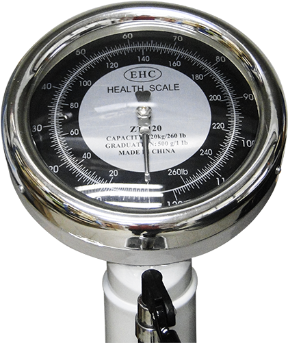 Download Transparent Ehc Body Weight & Health Scale Zt-120 - Weighing ...