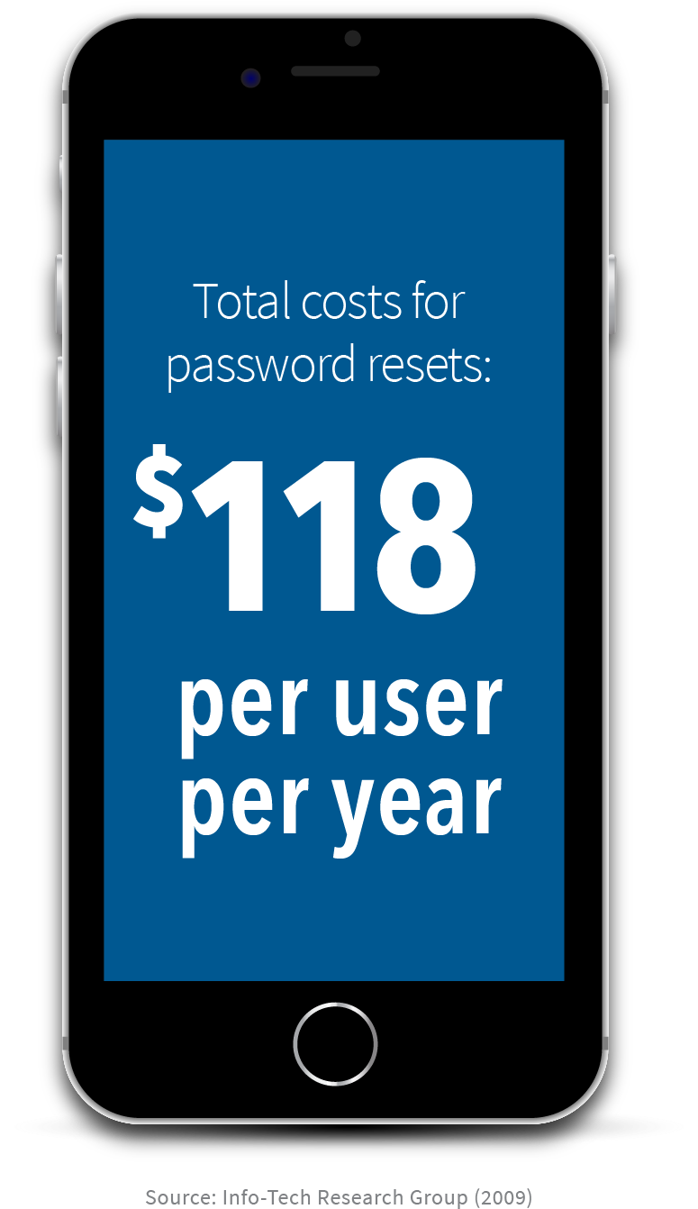 Download Transparent Biometric User Authentication Made Easy - Accesul ...