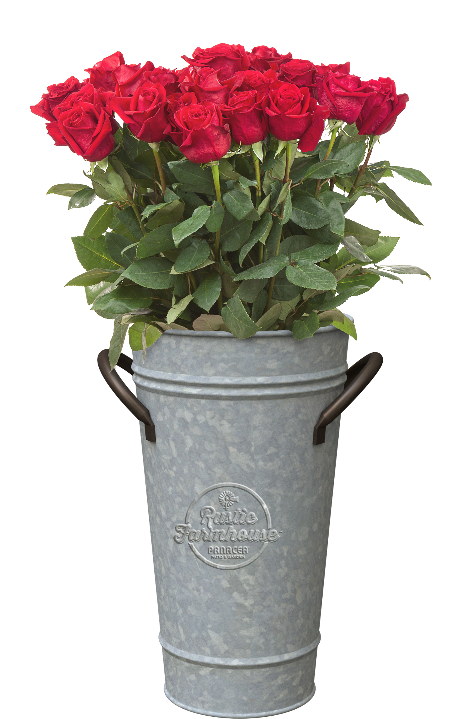 Download Panacea - Flower Bouquet - Full Size PNG Image - PNGkit
