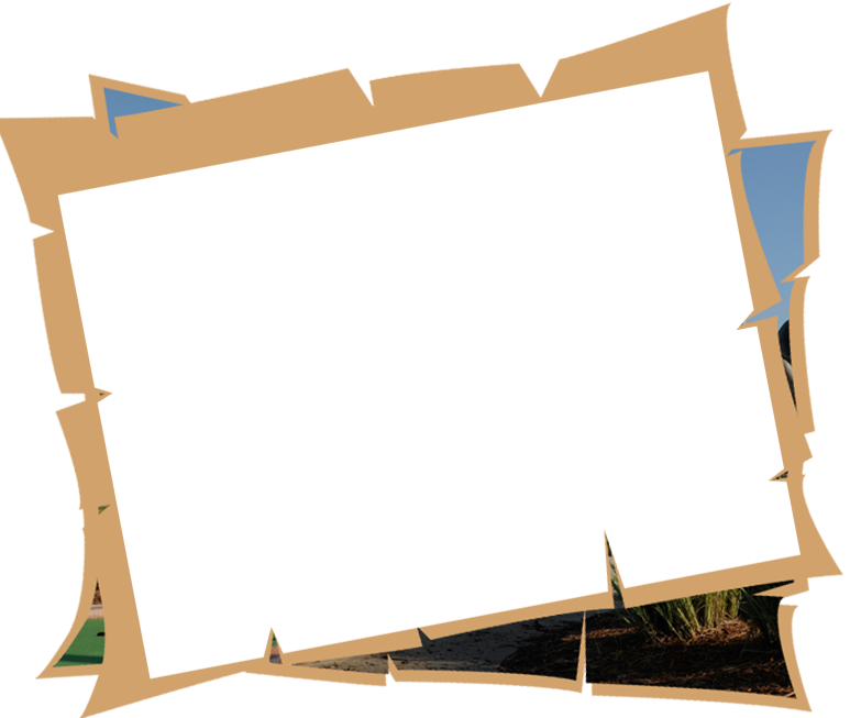 Download Voted Best Mini Golf In Orlando - Frame For Photo Jungle Png ...
