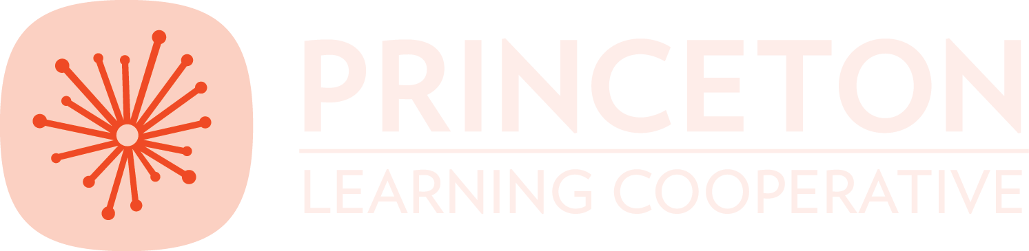 Download Princeton Learning Cooperative - Transfer Paper - Full Size ...