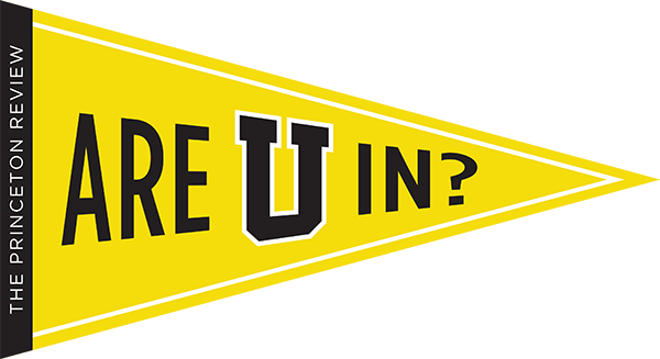 Download Are U In Pennant - Orange - Full Size PNG Image - PNGkit