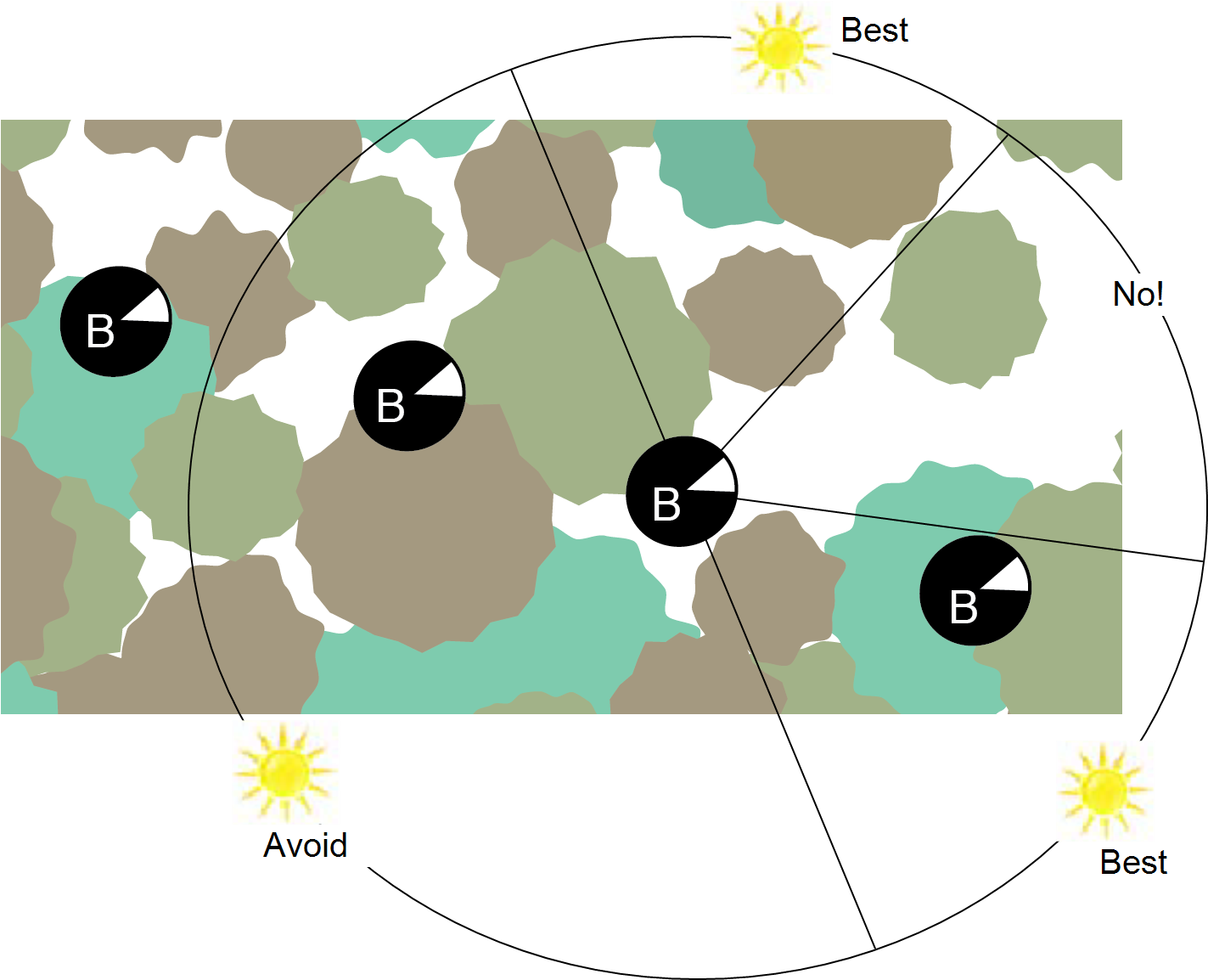 Download Measurement Direction With Direct Sun - Circle - Full Size PNG ...