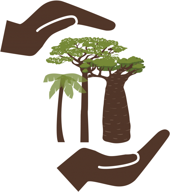 Download The World Cocoa Foundation And Our Members Have Joined - Tree ...