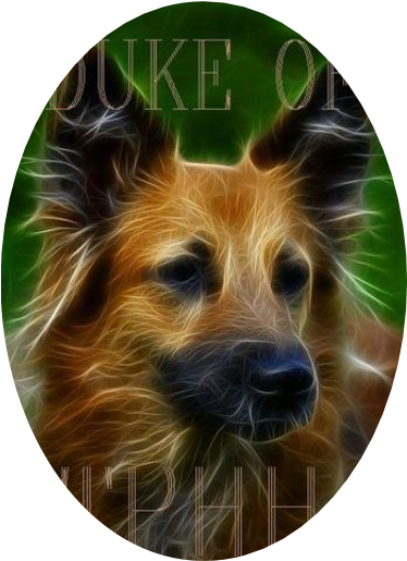 Download Lololountitled Drawing - Write Here Notebooks: Dog Collection ...