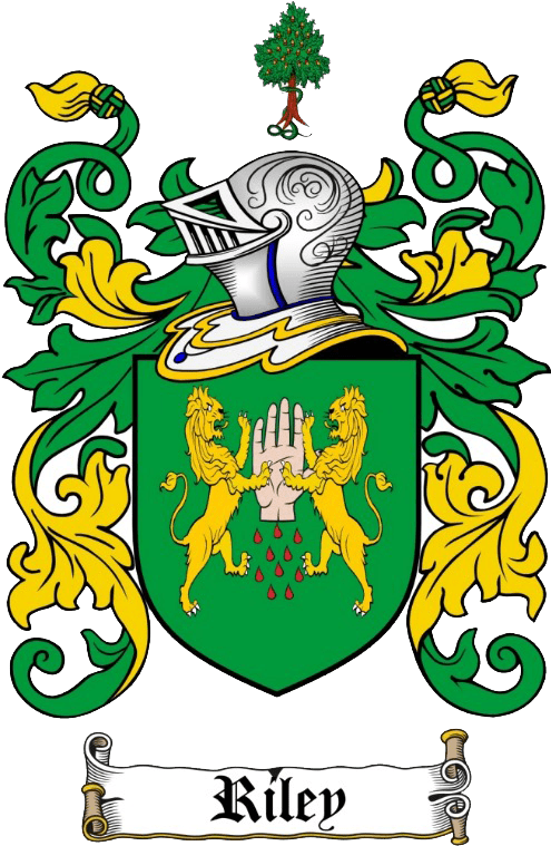 Download Klein Family Coat Of Arms - Full Size PNG Image - PNGkit