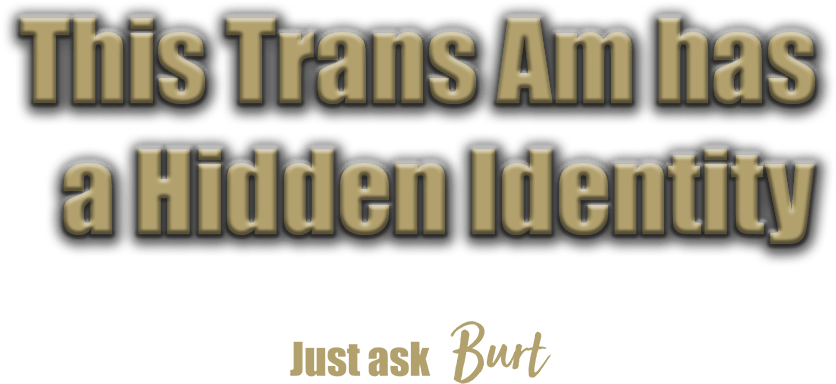 Download Burt And The Official First Born Bandit - Tilt Your Screen ...