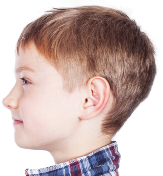 Download Transparent Profile Of Young Boy With Proportionate Features ...