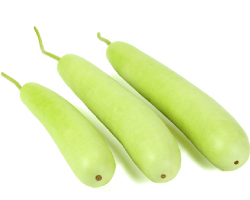 Download Bottle Gourd - Bottle Gourd Png - Full Size PNG Image - PNGkit