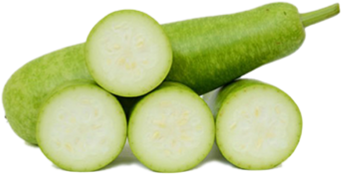 Download Bottle Gourd - Full Size PNG Image - PNGkit