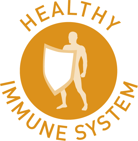 Download Immune System Png - Full Size PNG Image - PNGkit