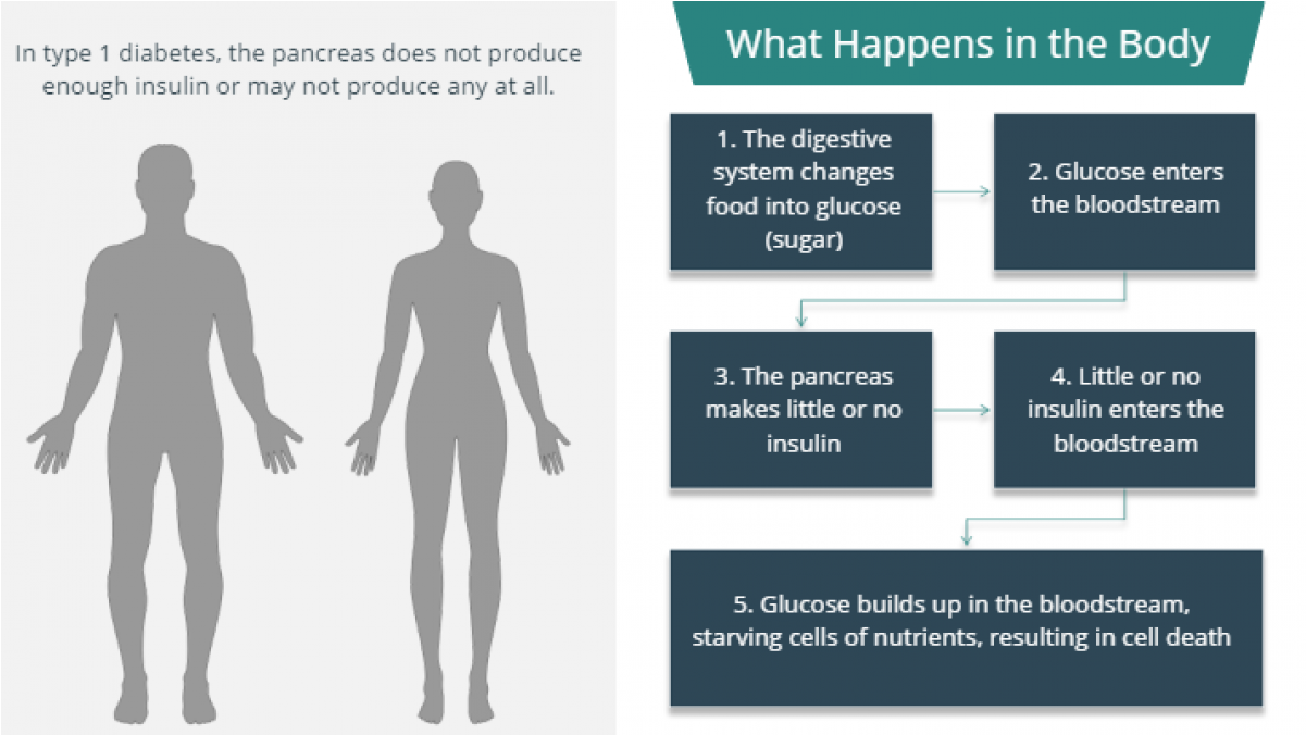 Download Absolute Size Of Gru - Full Size PNG Image - PNGkit