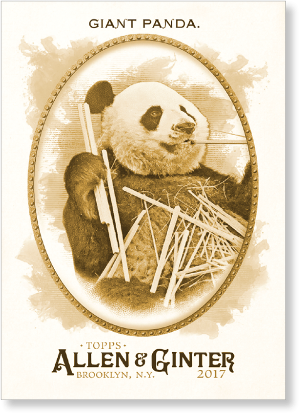Download Giant Panda - 2017 Topps Allen & Ginter Aaron Judge New York ...