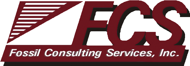 Download Fcs Logo - Ncaa Division I Football Championship - Full Size ...