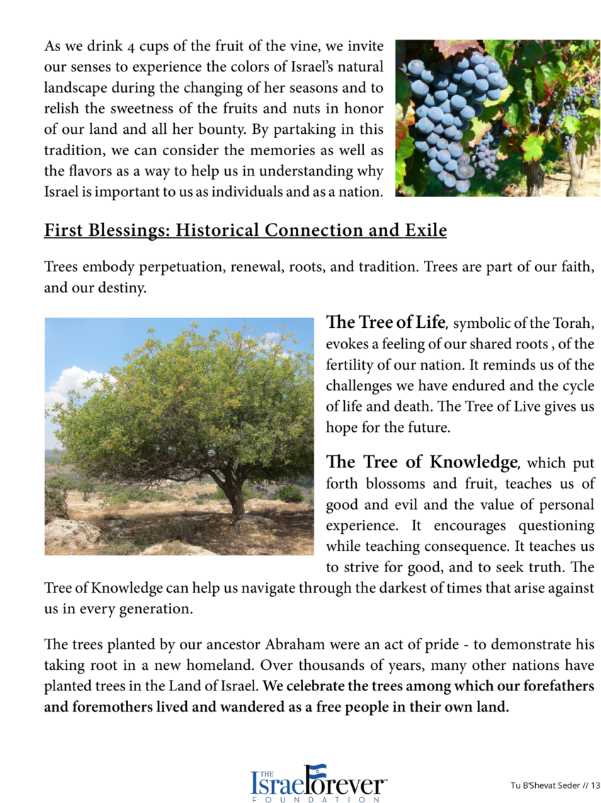 Download Shalom Everyone And Welcome Tu B Shevat Higiya, Chag - Tu ...