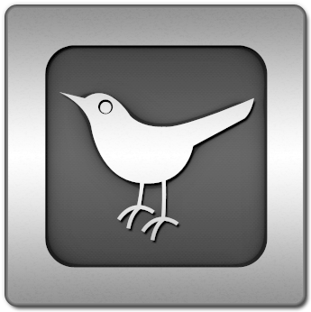 Download Social, Animal, Bird, Twitter, Social Network, Square ...