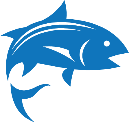 Download Hooked Fish Shop - Full Size PNG Image - PNGkit