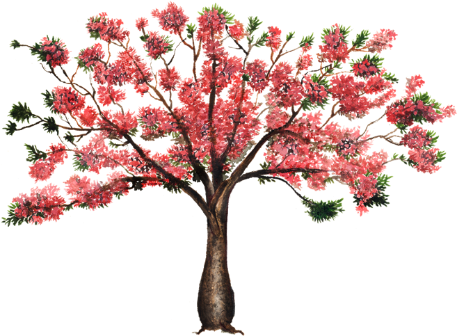 Download Tree - Full Size PNG Image - PNGkit