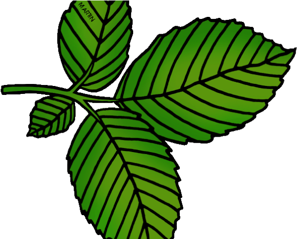 Download Original - Clip Art - Full Size PNG Image - PNGkit