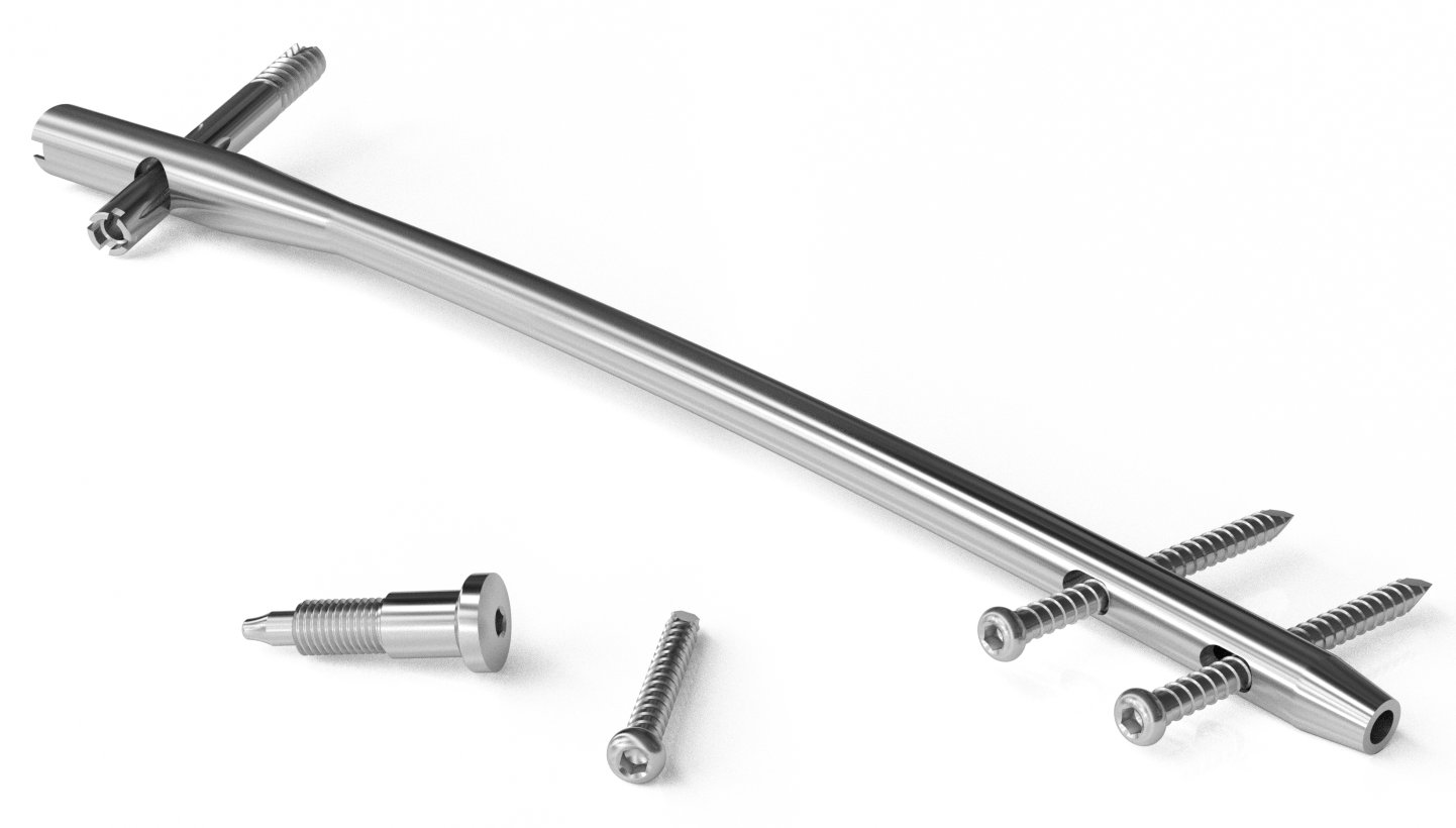 Download Byn "y" Femur Intramedullary Or - Intramedullary Rod - Full ...