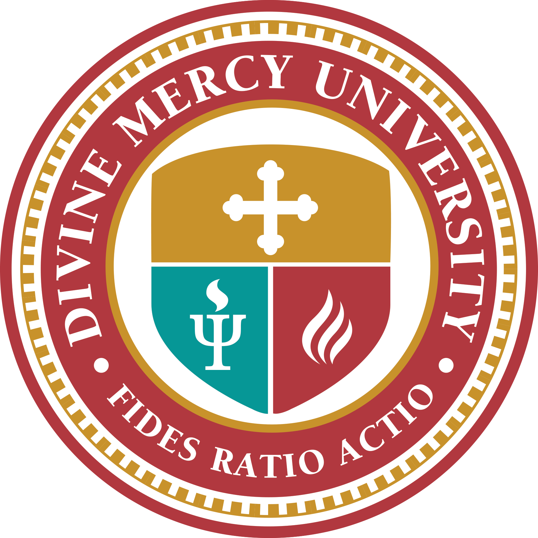 Download Divine Mercy University - Full Size PNG Image - PNGkit