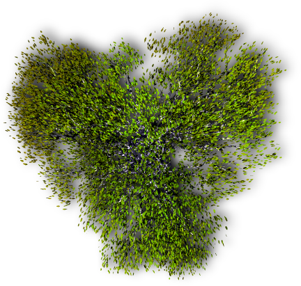 Download Tree Image - Moss - Full Size PNG Image - PNGkit