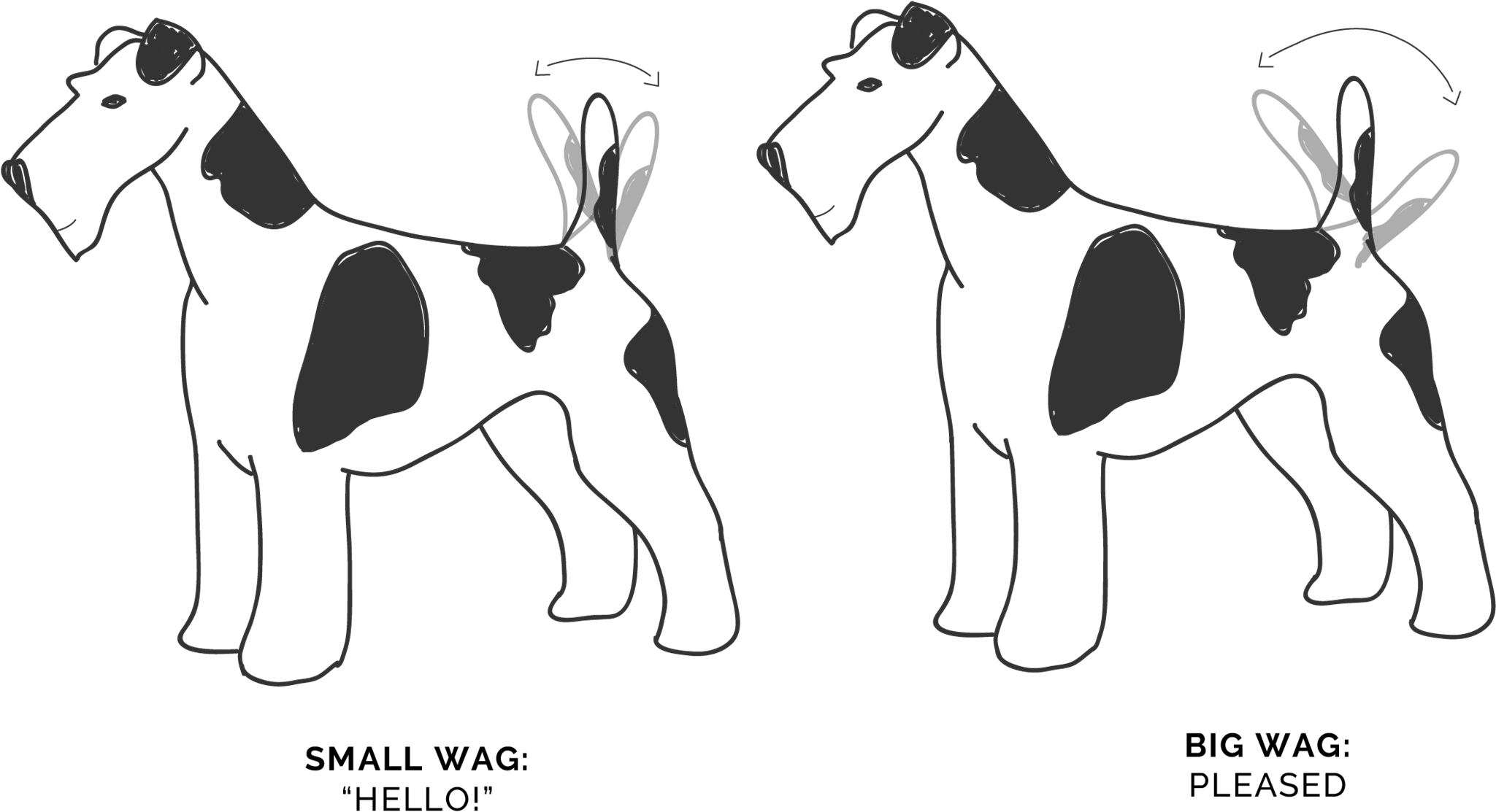 Download Wagging Tails Movement - Ancient Dog Breeds - Full Size PNG ...